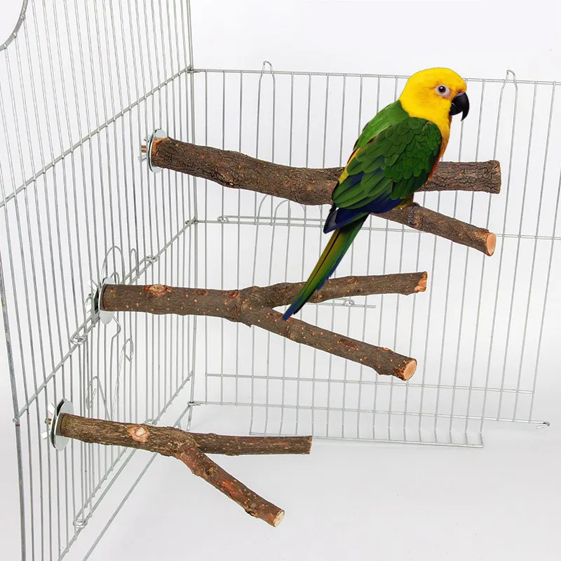 bird perch stand