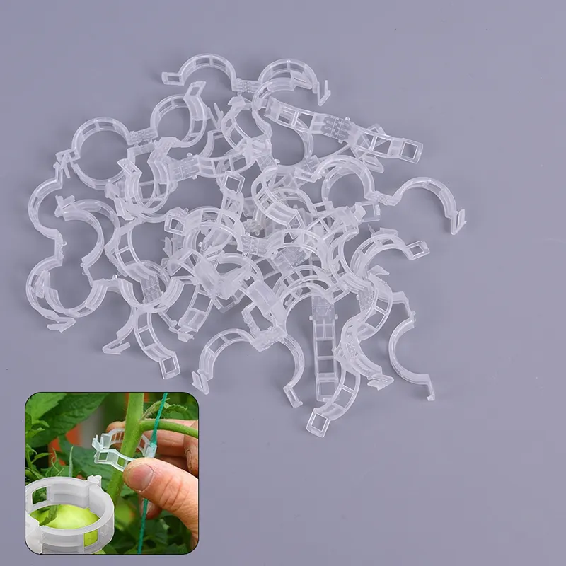 DHgate.com:100Pcs Reusable Plant Clips, Plastic Vine Support Clamps for ...