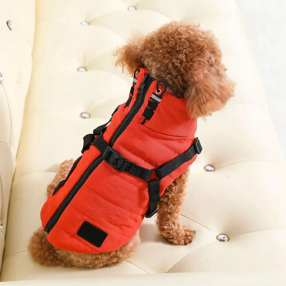 Extra Small Dog Clothes Windproof Winter Pet Coat: Padded Puppy Vest ...