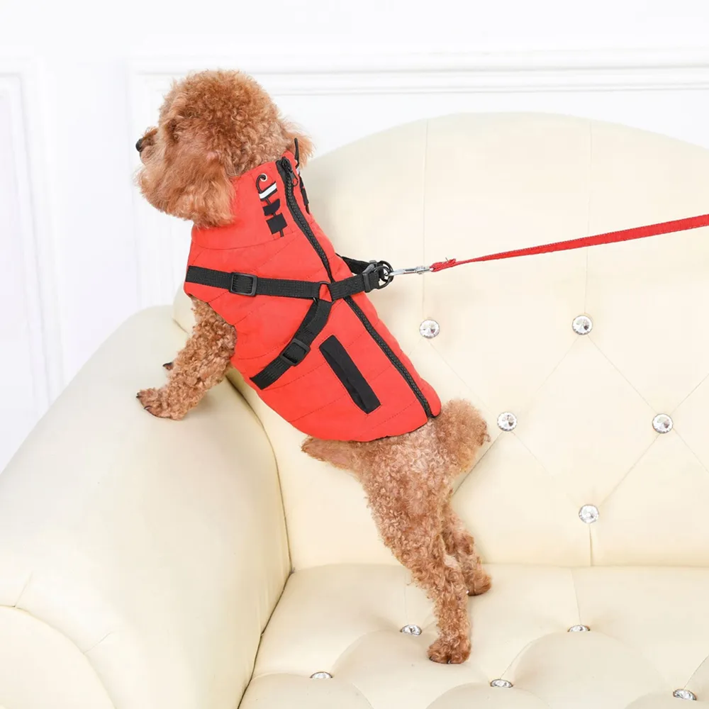 Extra Small Dog Clothes Windproof Winter Pet Coat: Padded Puppy Vest ...