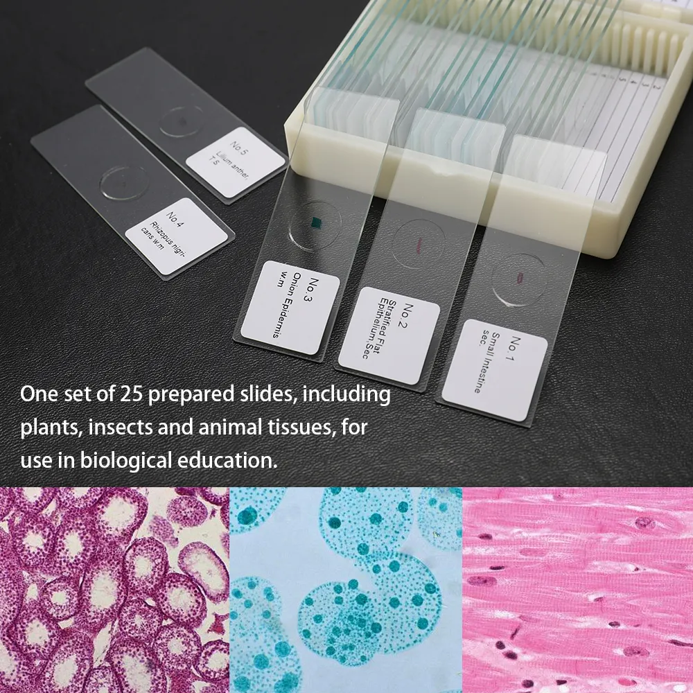 25-Piece Prepared Microscope Slides Set: Basic Biological Tissues ...