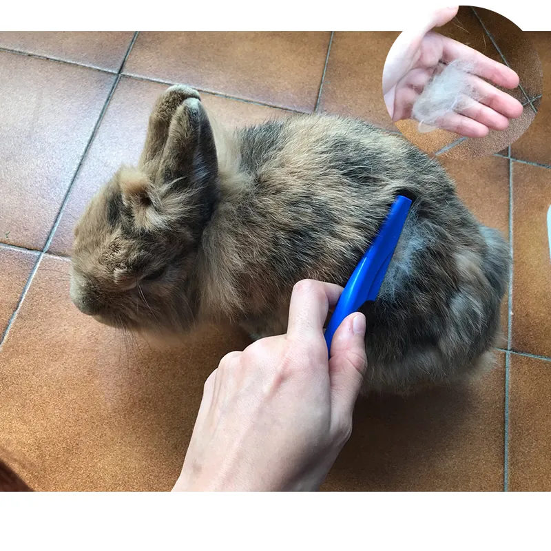 DHgate.com:2024 Pet Hair Remover Brush - Rabbit Grooming Comb for ...