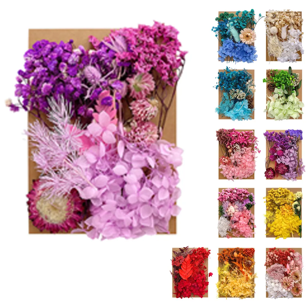 Pressed Flowers Dried For Resin | Plant Herbarium For Craft Fleurs ...