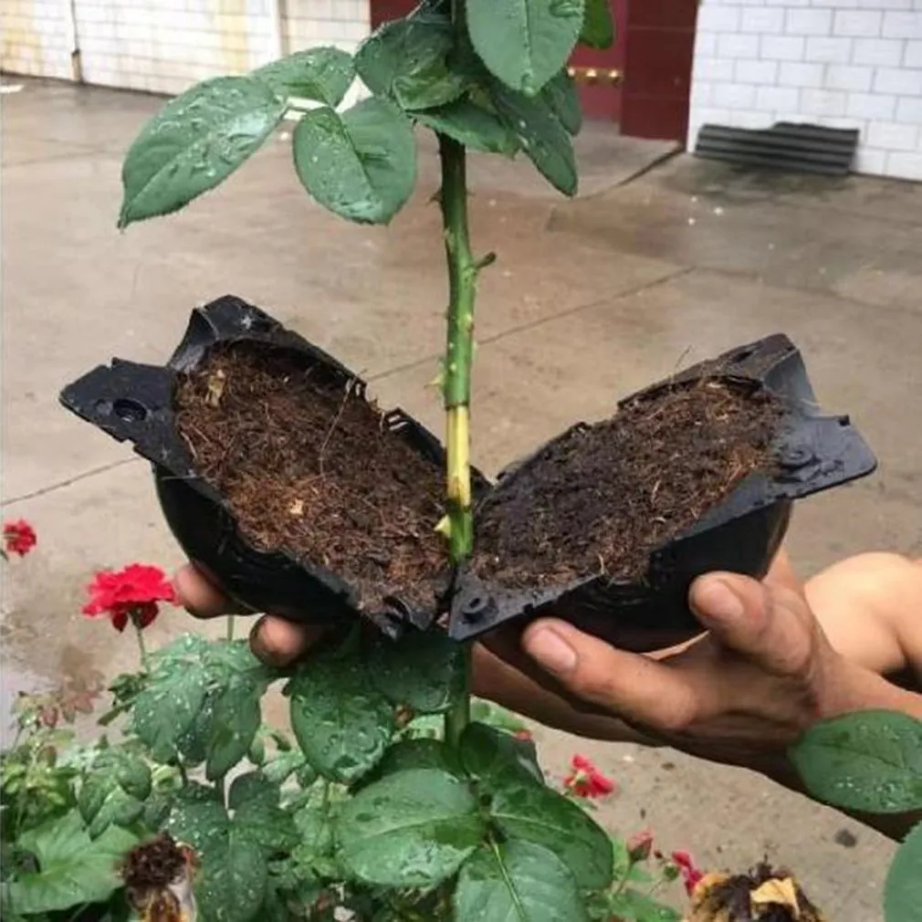 Plant Rooting Ball Grafting Root Box: Nursery Tray for Breeding, Tree ...