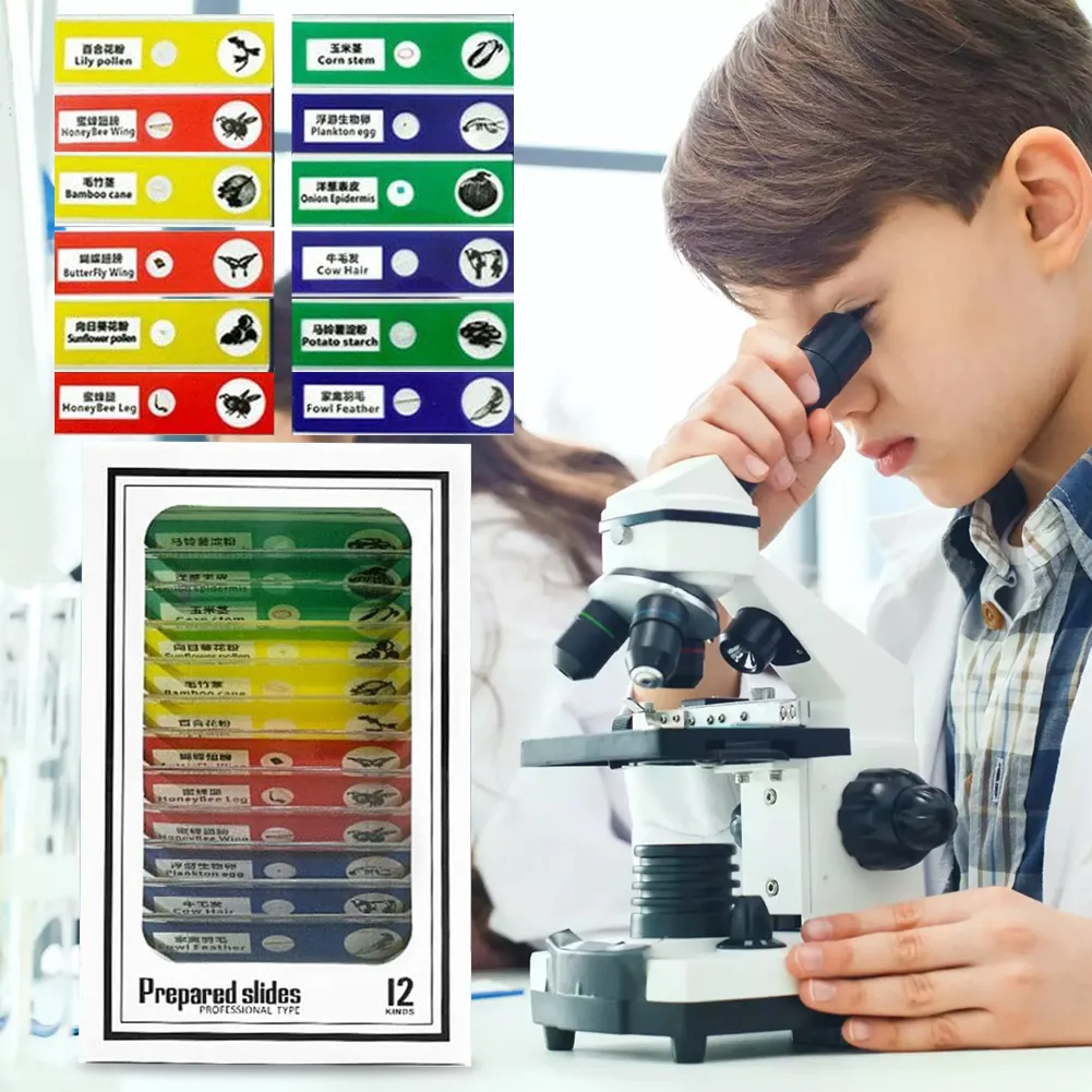 Lab Handheld Microscope with LED Light Battery Powered Kids Science ...