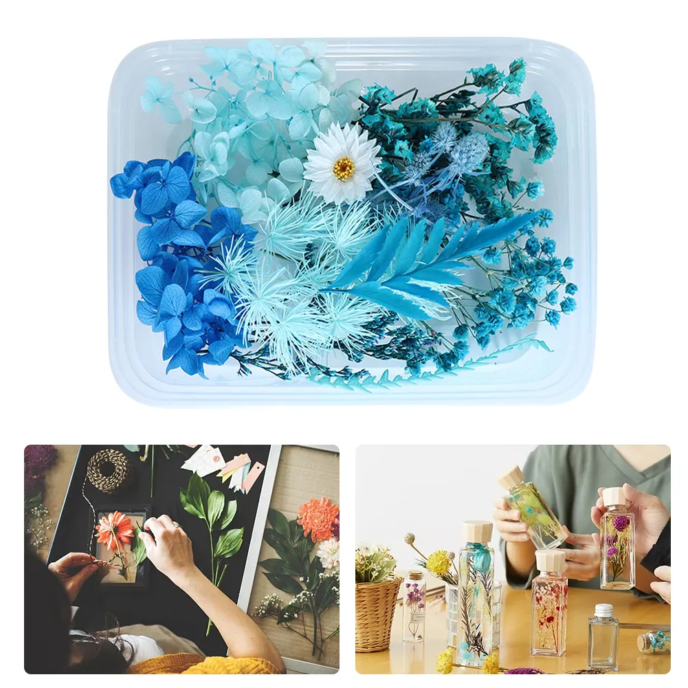 Vivid Dried Flower DIY Craft Pack: Long-Lasting Floral Embellishments ...