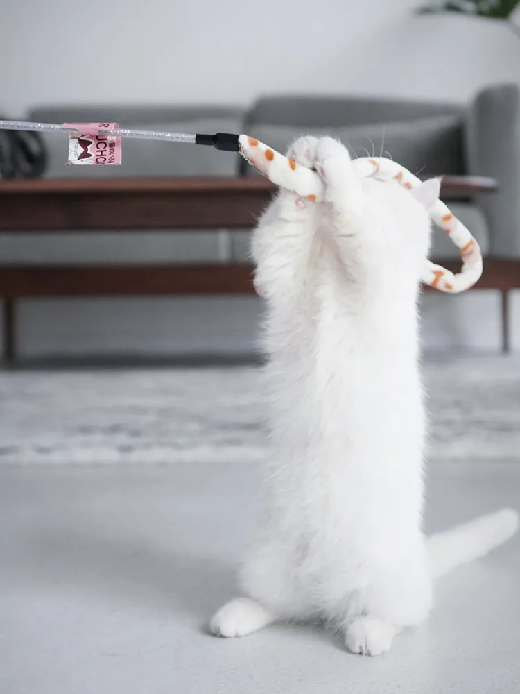 Interactive Cat Teaser Wand with Colorful Feather Caterpillar Teaser ...