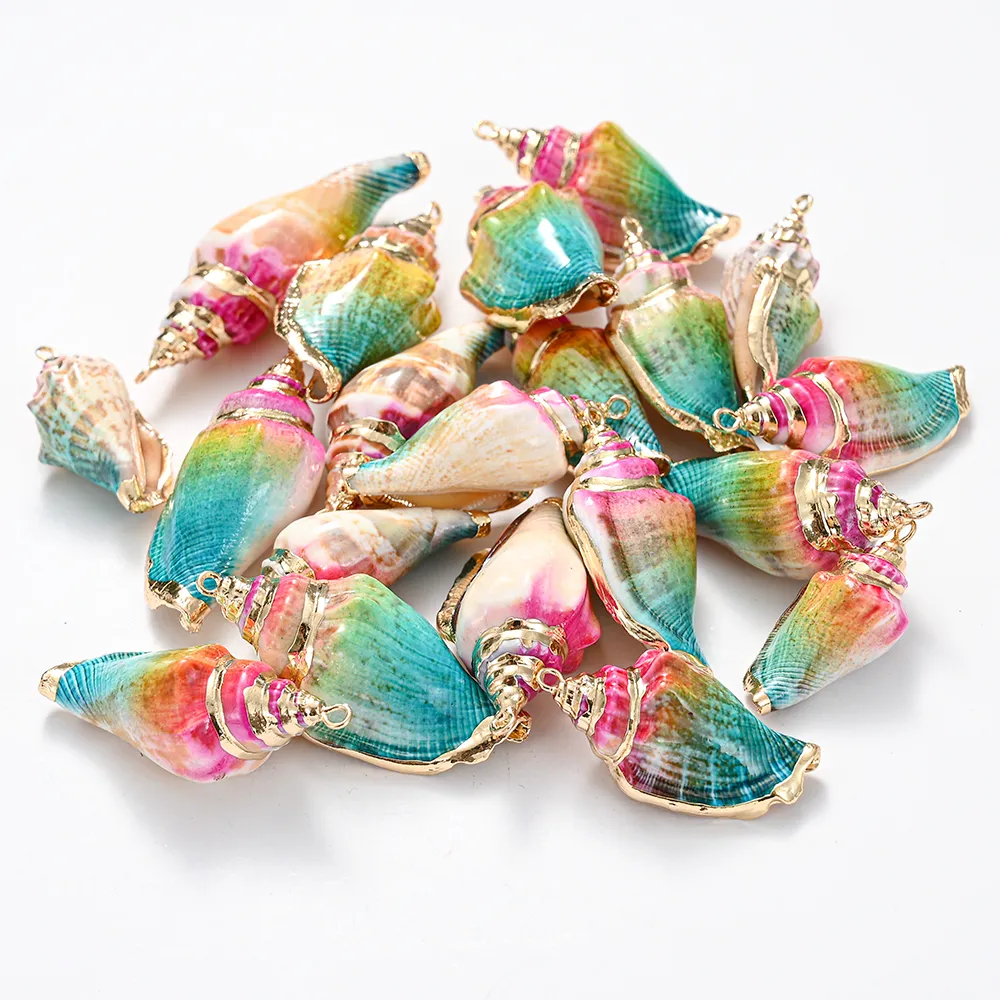 Gold Plated Irregular Seashell Beads Natural Striated Colorful Shell ...