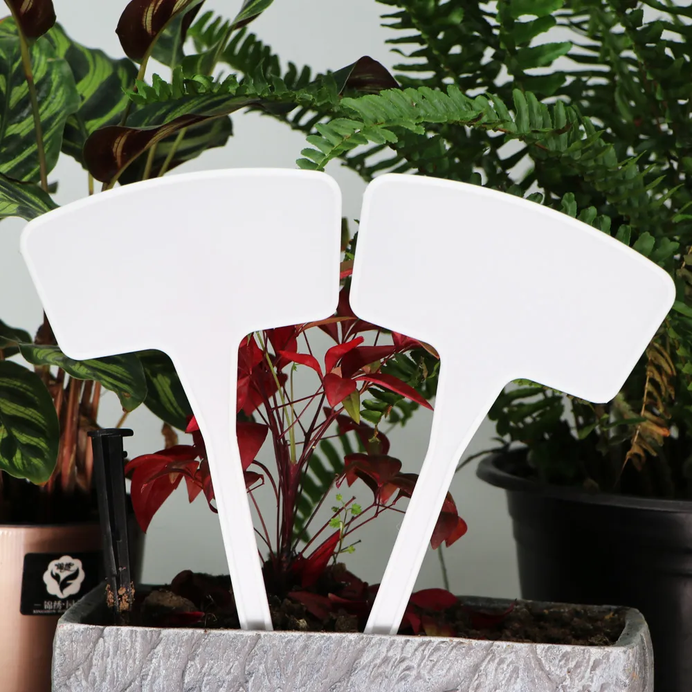 White T-Type Waterproof Plant Tags for Garden: Potted, Indoor, Outdoor ...