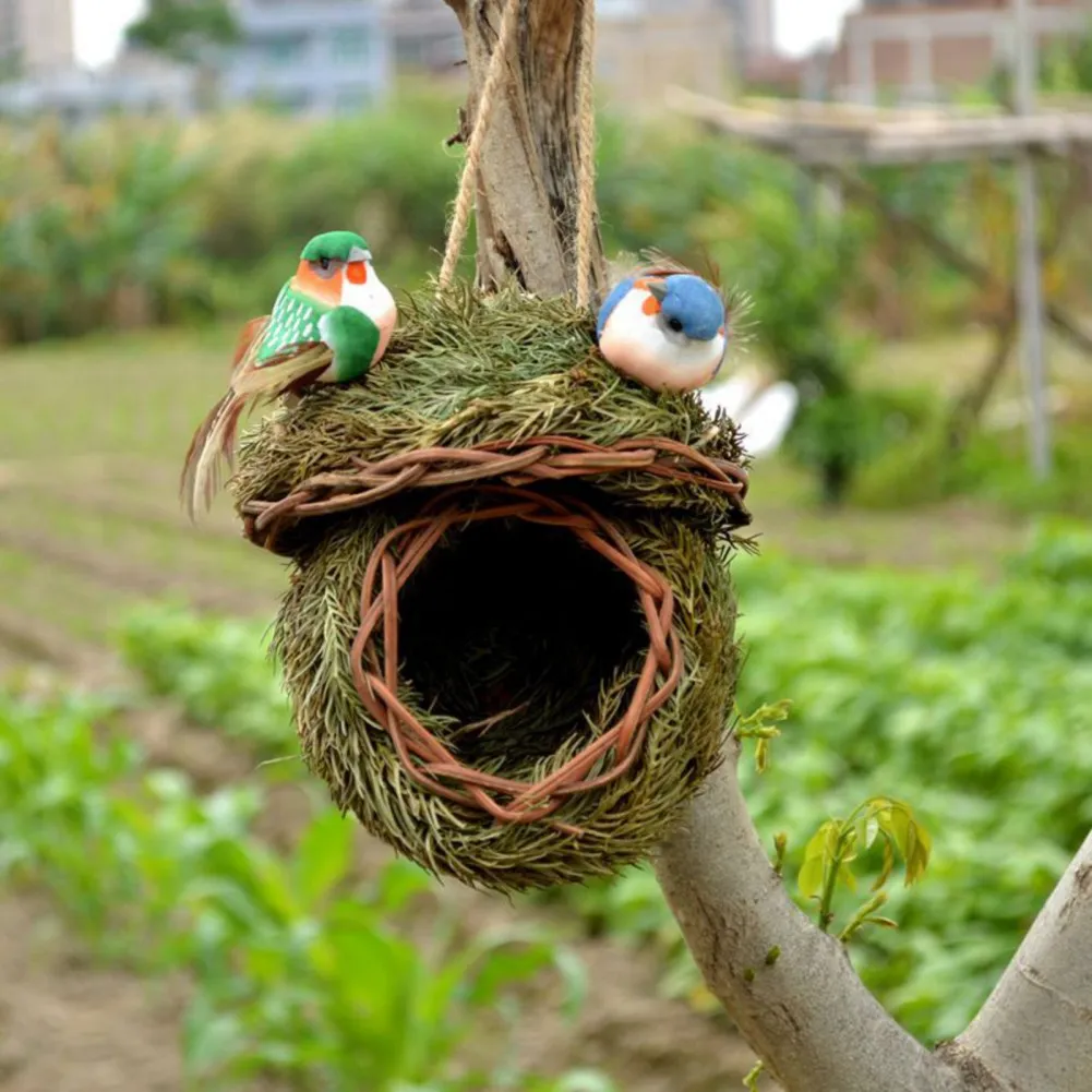 turtle dove nesting box