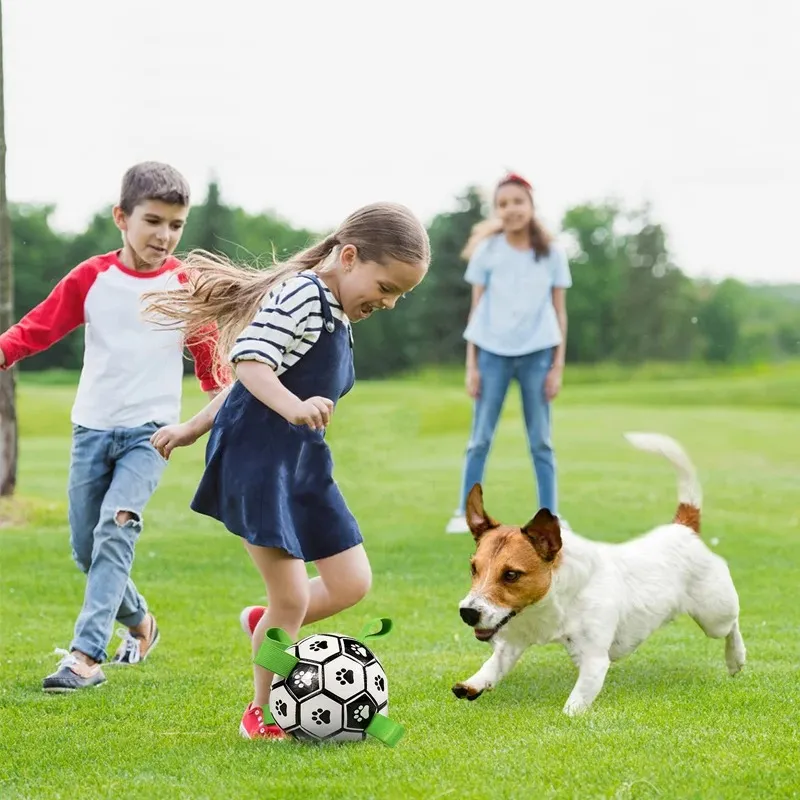 Inflatable Dog Football Toy - Soccer Ball for Training & Play, Border ...