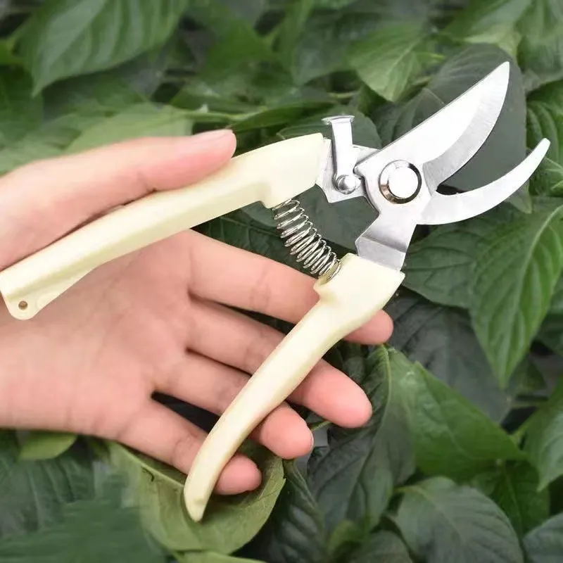 Modern Sprout Pruning Shears: Stainless Steel Gardening Floral Shears ...