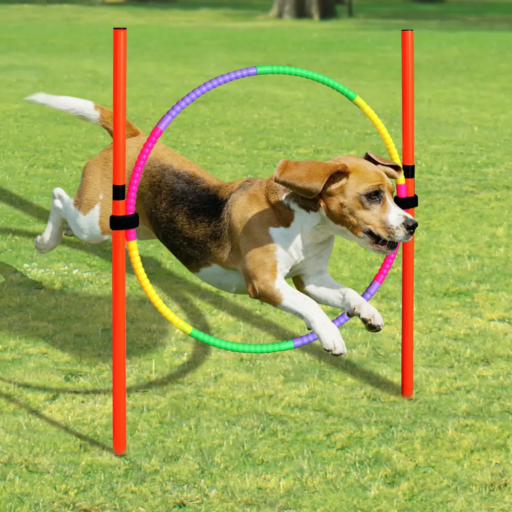 DHgate.com:Dog Training Product - Portable Dog Agility Equipment for ...