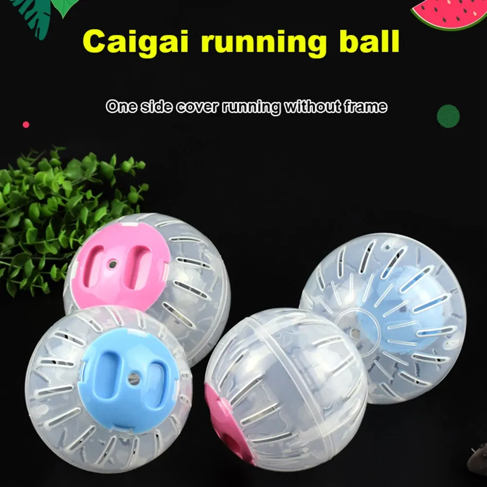 DHgate.com:Hamster Exercise Ball - 10/12cm Running Jogging Wheel for ...