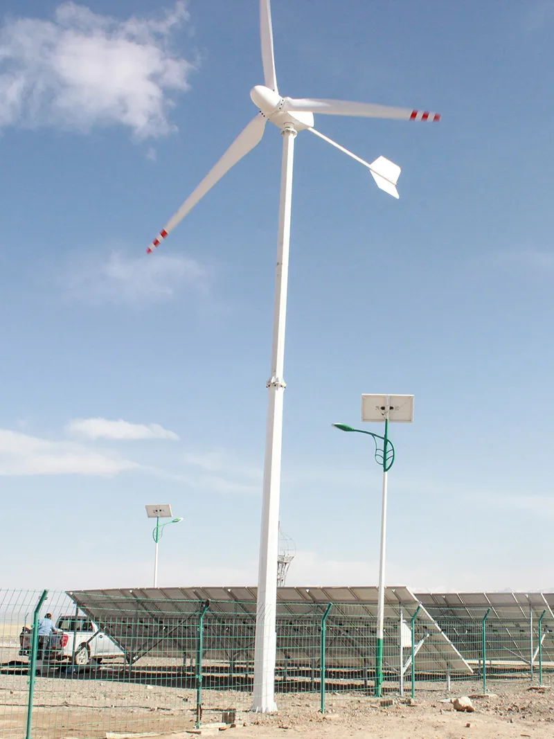 2kW-30kW Horizontal Wind Turbine Generator - 48V-380V Windmill Power ...