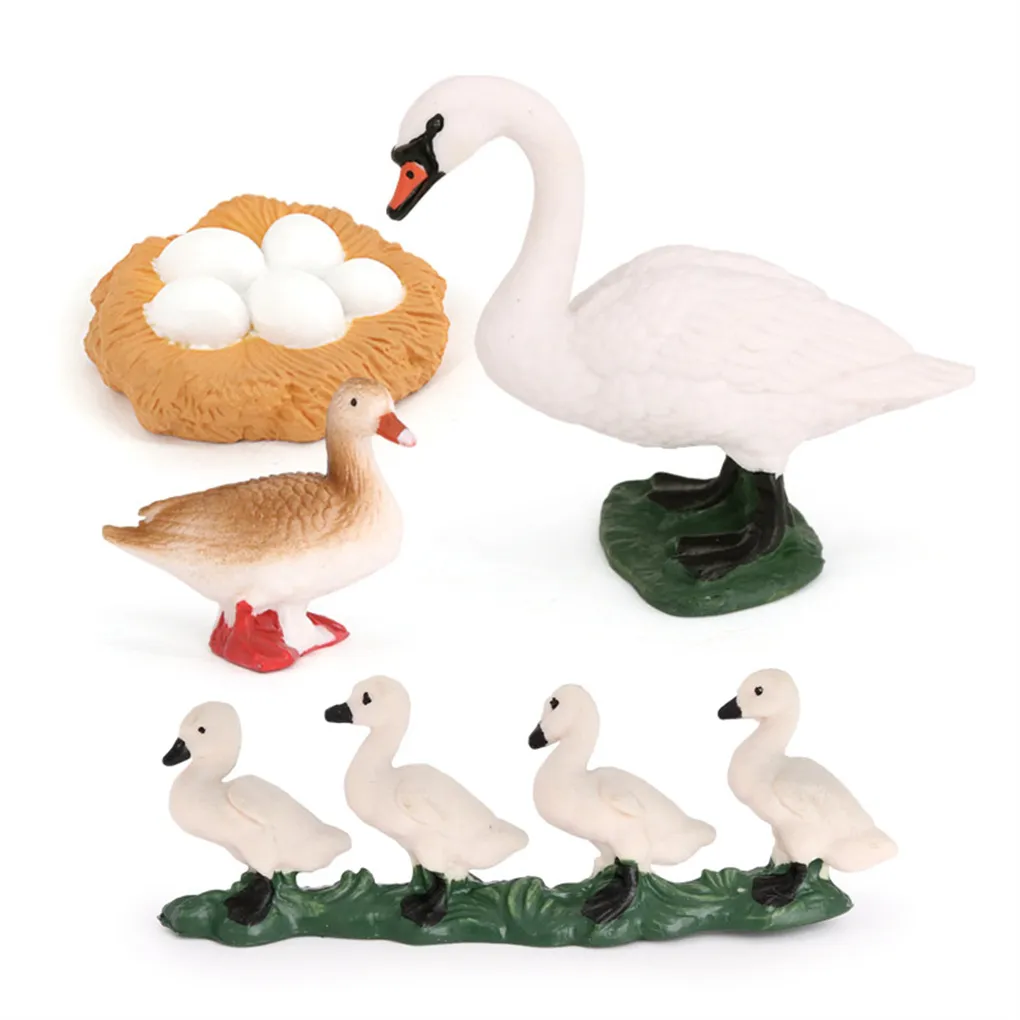 Swan Life Cycle Model Animal Plaything survival kits...