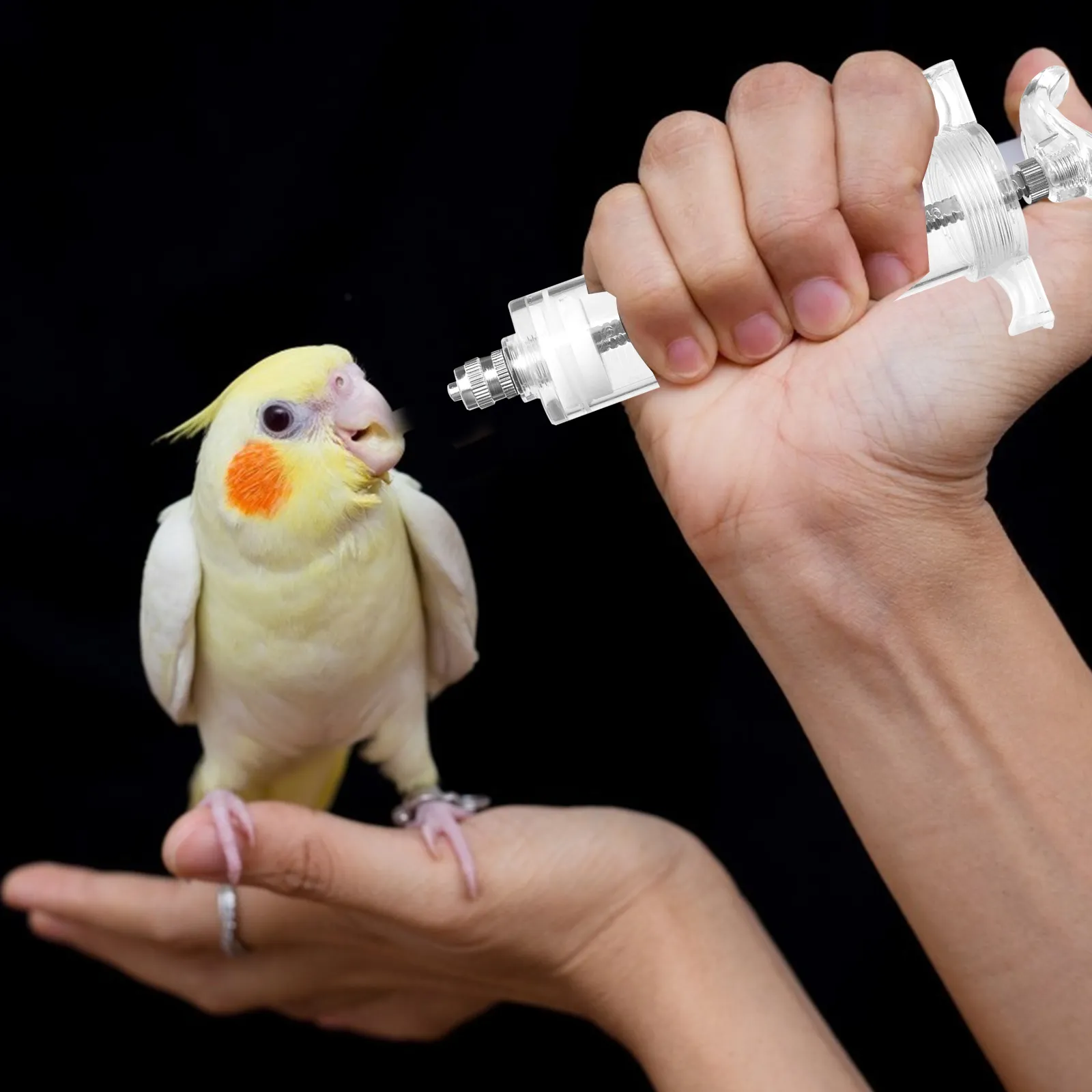 Adjustable Baby Bird Feeder Gavage Tube Parrot Feeding Syringe for Hand ...
