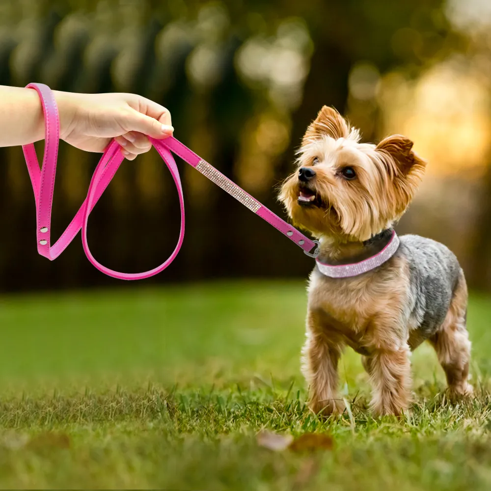 Bling Pet Leash: Sparkling Rhinestones for Stylish Pet Walks from ...