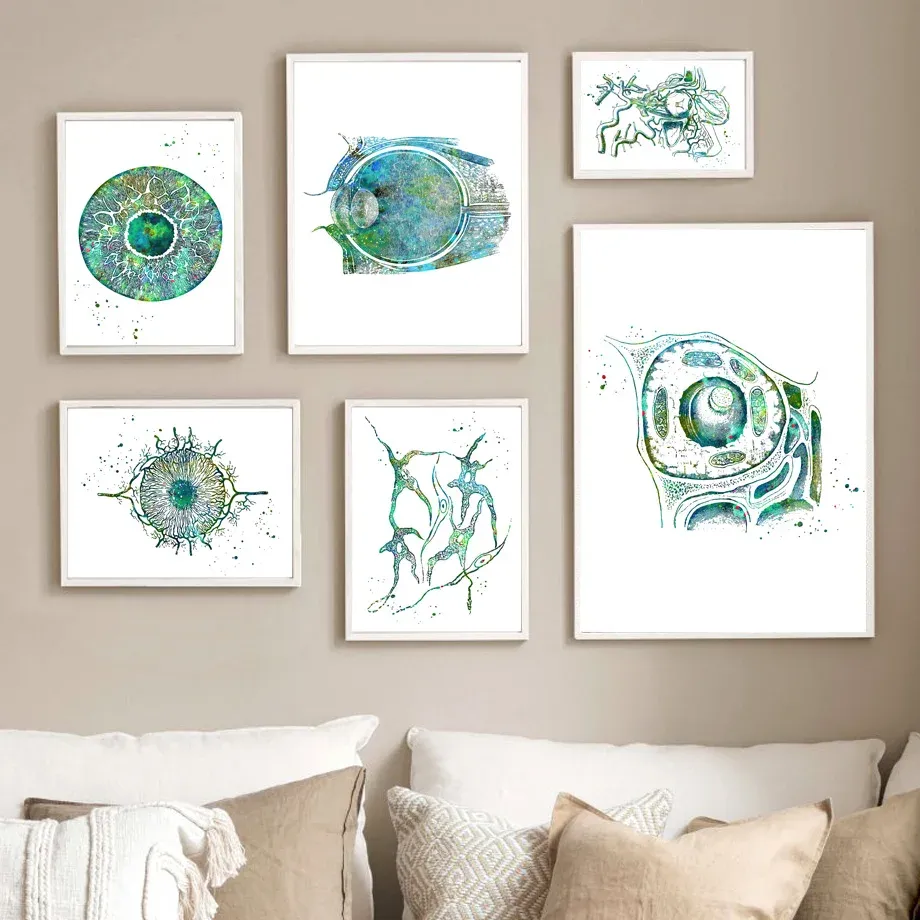 Optometry Biology Visual Human Eye Chart Wall Art Canvas Painting ...