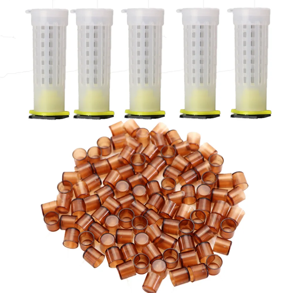 10 Queen Rearing Cell Cups Plastic Brown Cell Cage Room Honey Equipment ...