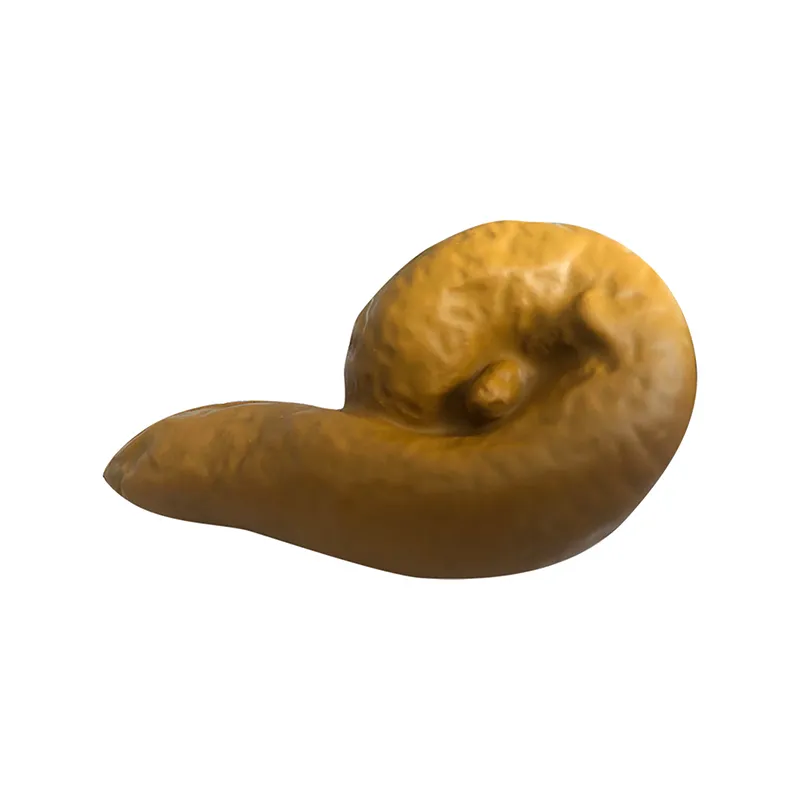 Funny Pool Thermometer Floating Poop Prank Novelty Swimming Pool ...