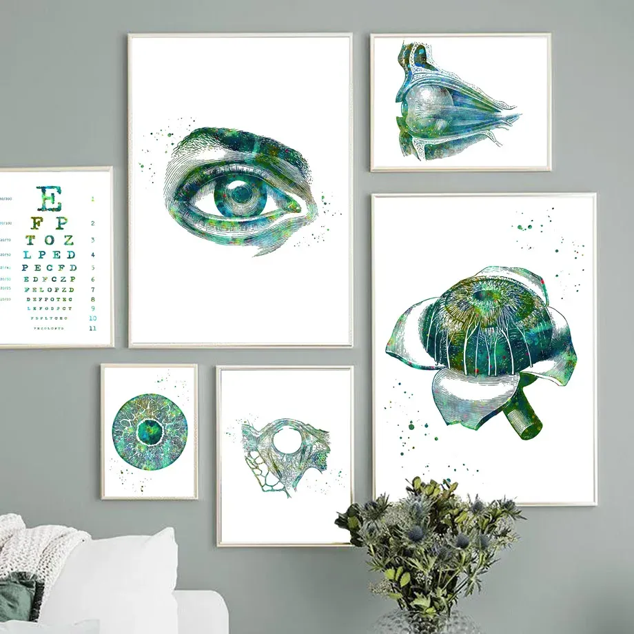 Optometry Biology Visual Human Eye Chart Wall Art Canvas Painting ...