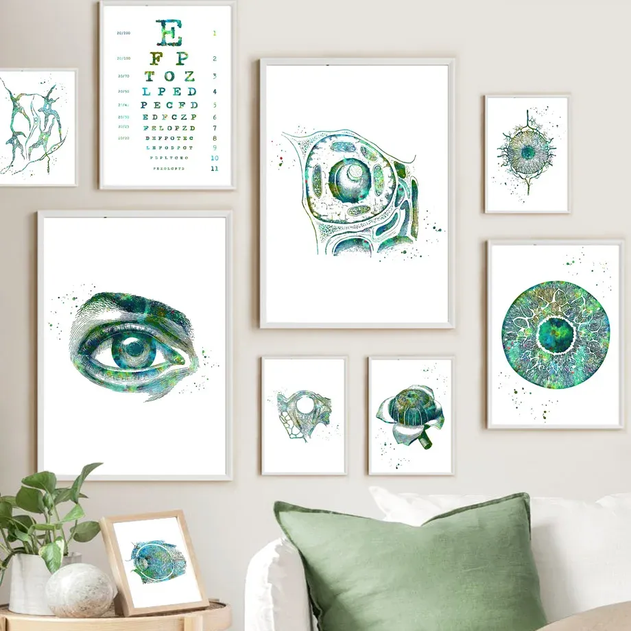 Optometry Biology Visual Human Eye Chart Wall Art Canvas Painting ...