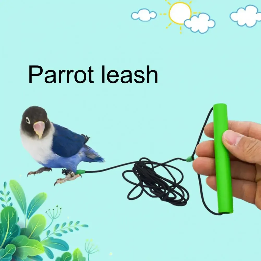 Safe & Secure Parrotlet Harness and Leash Set - Adjustable Bird Leash ...