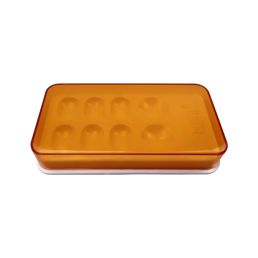 Denture Case: 8-Hole Acrylic Shading Box for Dental Resin, Lightweight ...