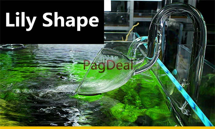 aquarium near me Glass Lily Pipe Set for Planted Fish Tanks - Inflow ...