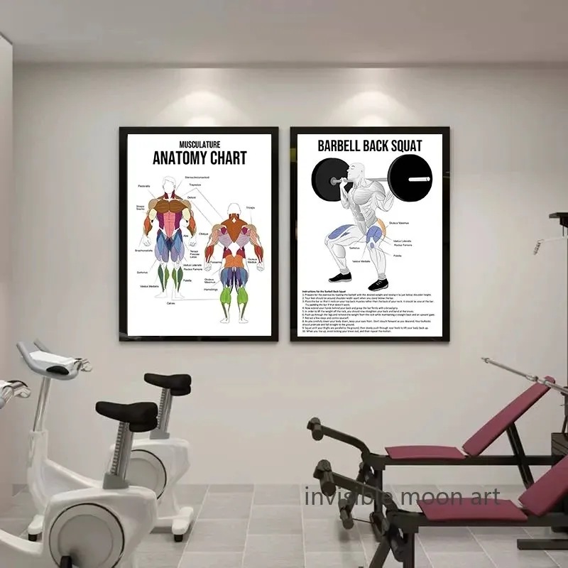 Anatomical Exercise Art: Musculature Diagrams, Deadlift Anatomy Chart ...