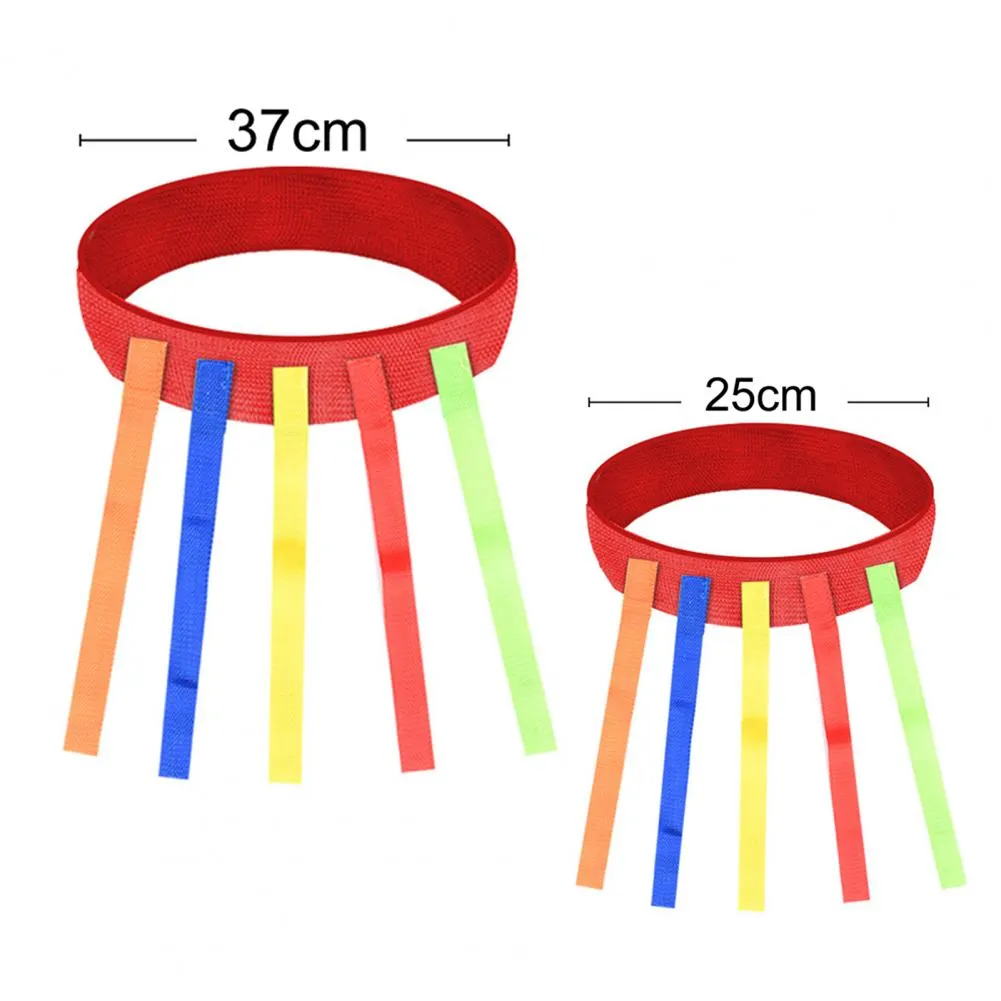 Adult & Kids Sticky Catch Tail Game Set: Kindergarten Pulling Tail ...