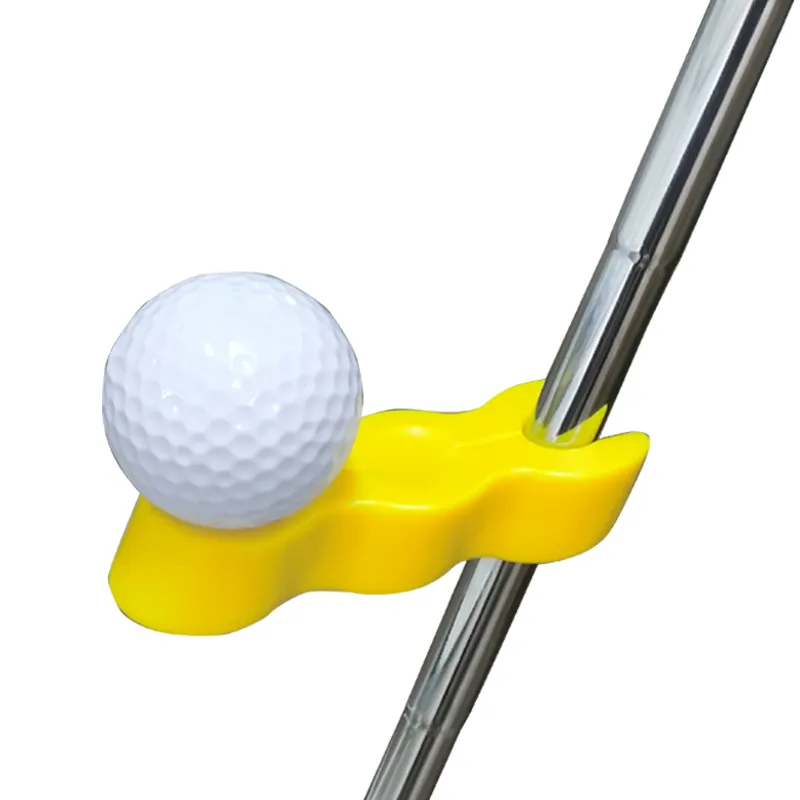 Portable Golf Putting Planet Fitness Personal Trainer With Putt Aim ...