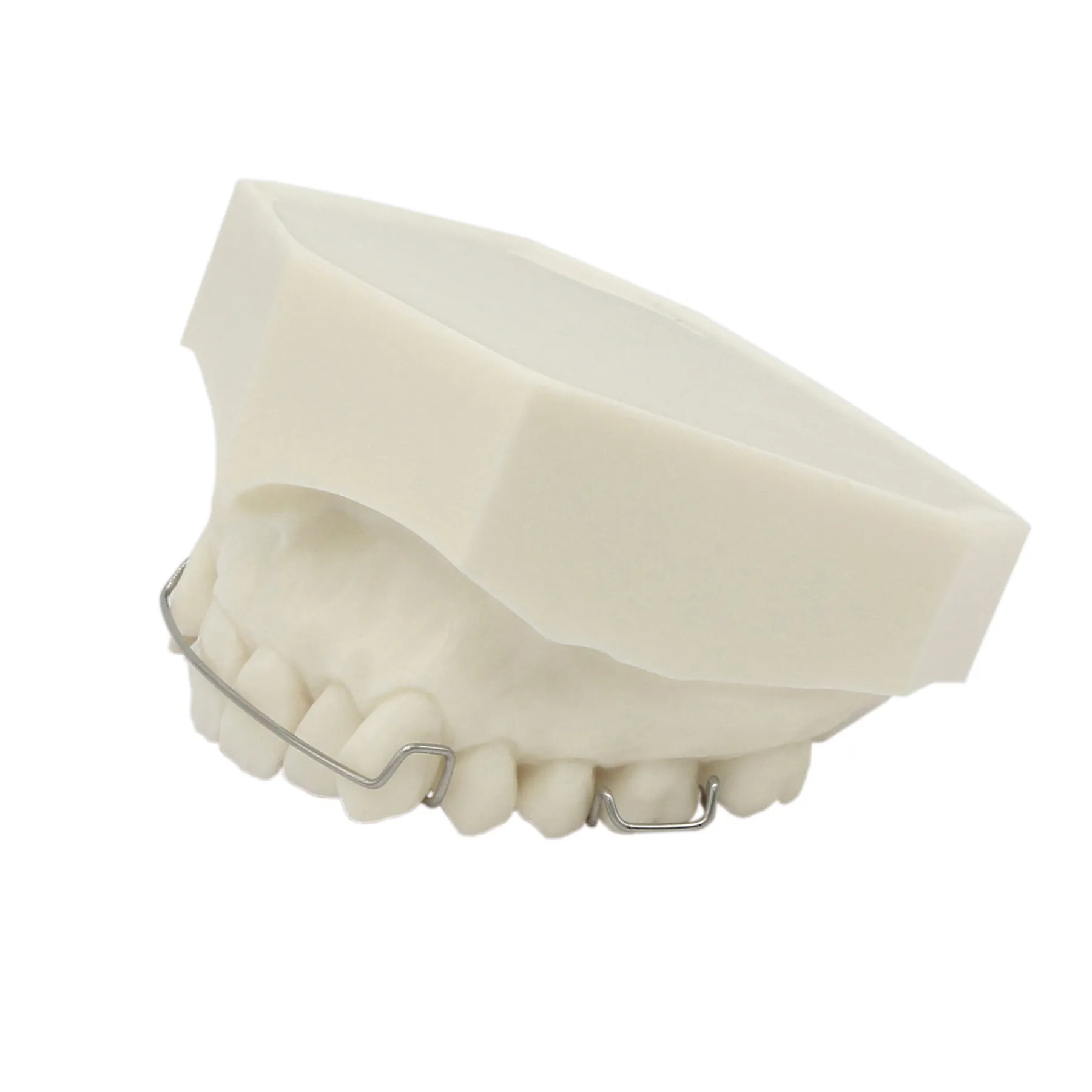 Dental Teeth Model With Hawley Retainer Dental Orthodontic Study Teach ...