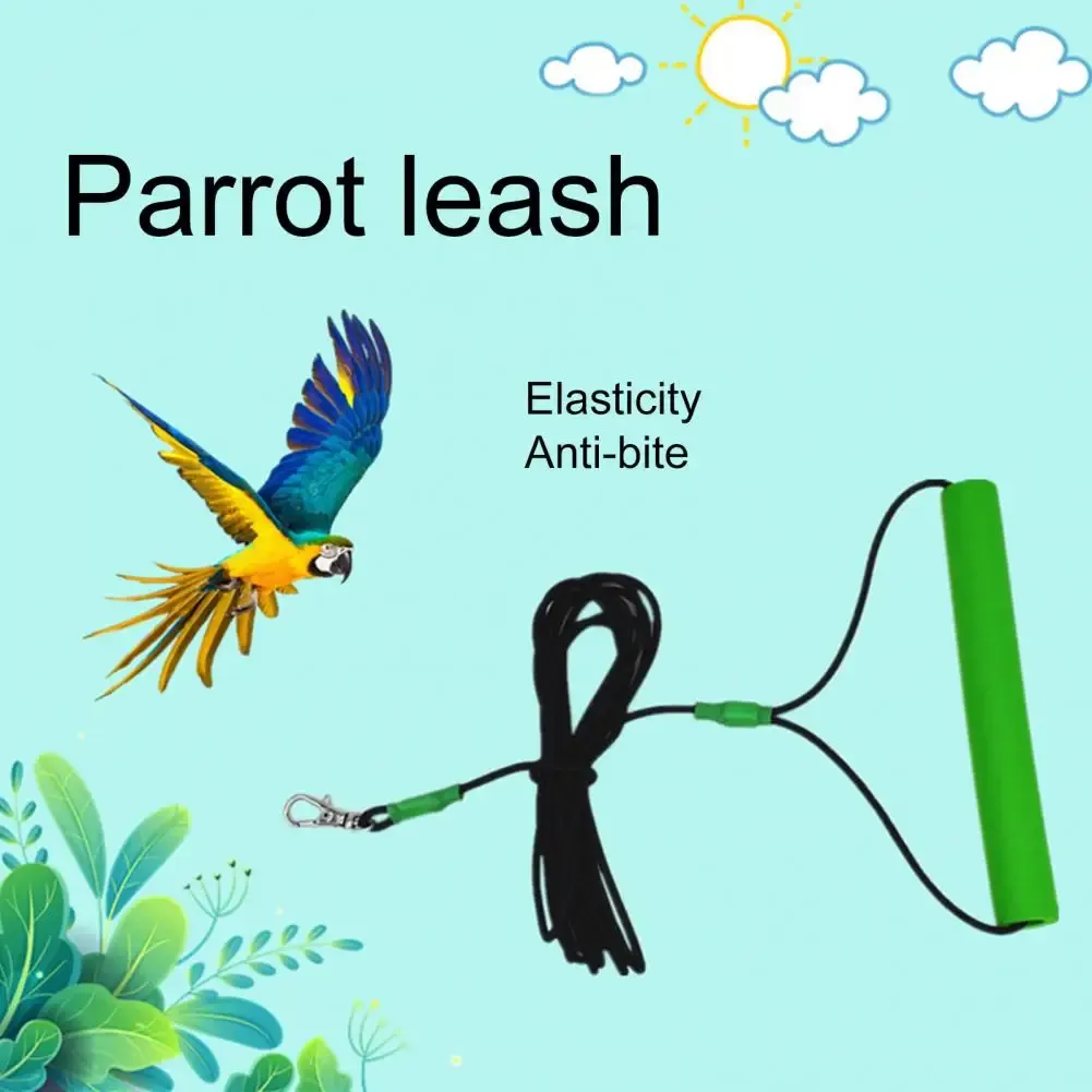 Safe & Secure Parrotlet Harness and Leash Set - Adjustable Bird Leash ...