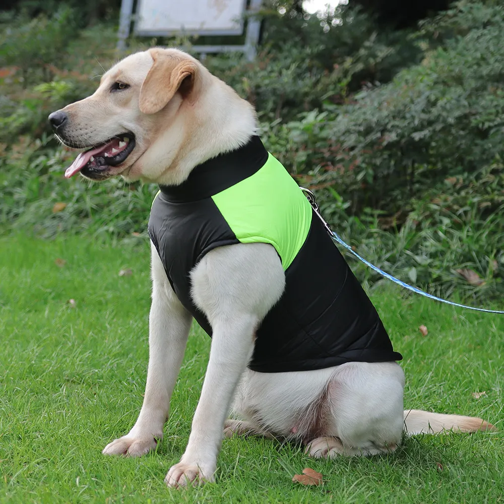Winter Waterproof Dog Jacket with Zipper: Warm Padded Vest for Small ...