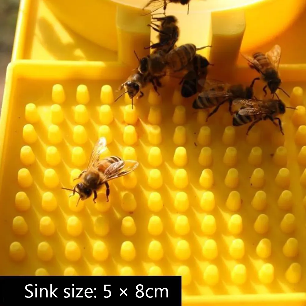 Beekeeping Water Feeder: Safe, Lightweight Plastic Water Box for Honey ...