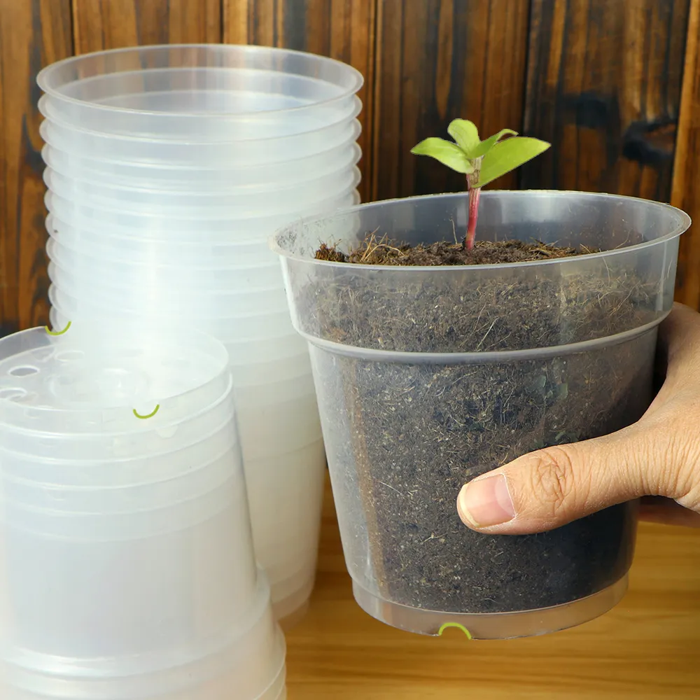 Clear Orchid Plant Pots Transparent Plastic Flower Planter With ...