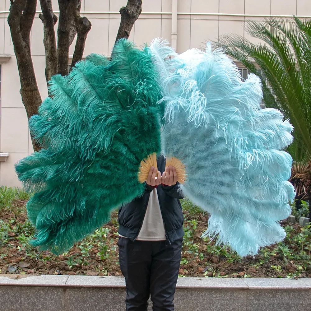 Large Feather Fan