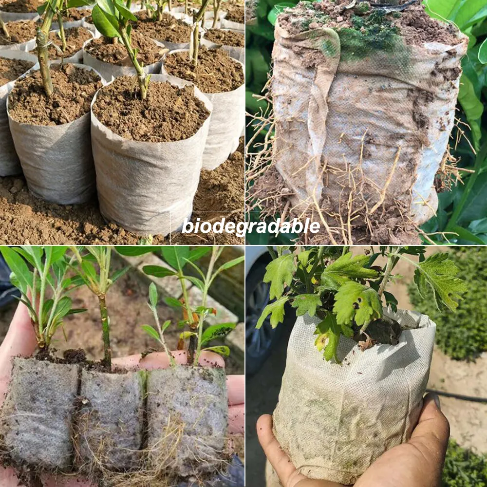 Plant Bags Biodegradable Plant Nursery Grow Bags: Non Woven Seedling ...