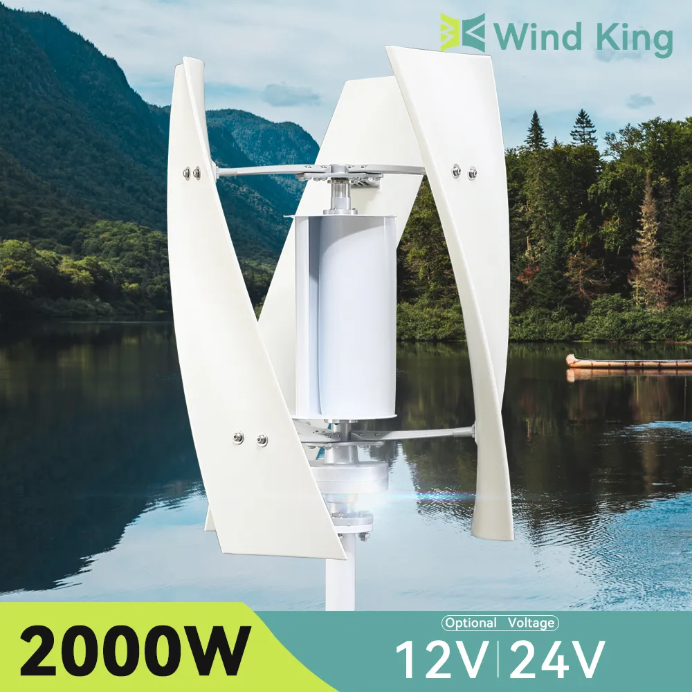 2000W Wind Turbine Generator Kit: High Efficiency 12V/24V DIY Wind ...