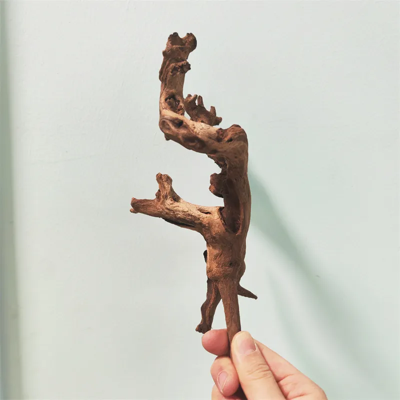 DHgate.com:Driftwood Aquarium Branches for Aquascaping, Fish Tanks ...