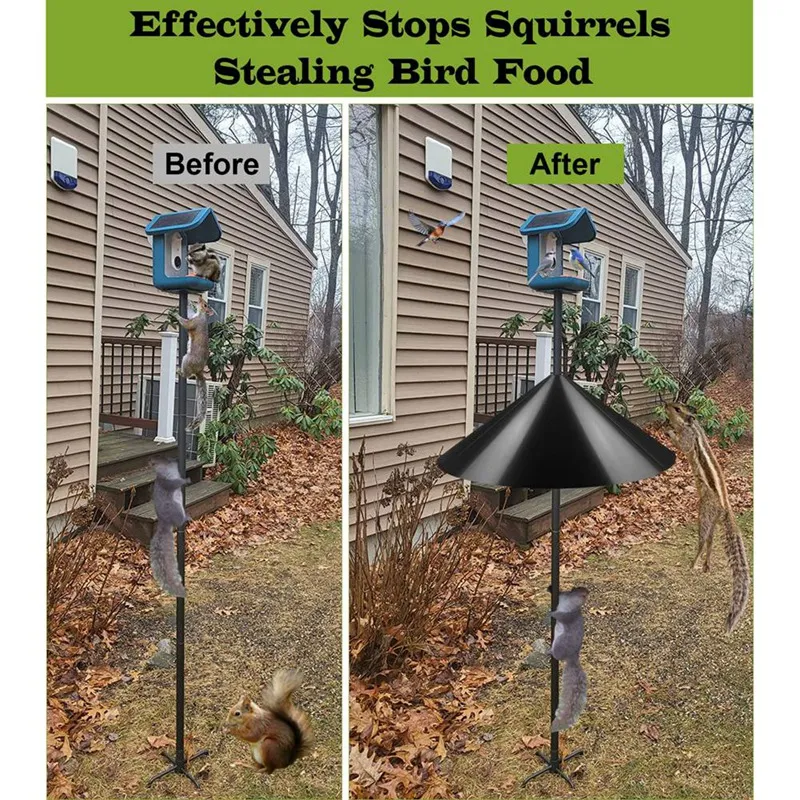 Premium Bird Feeder Guard - Stop Rodents! Galvanized Protection for ...