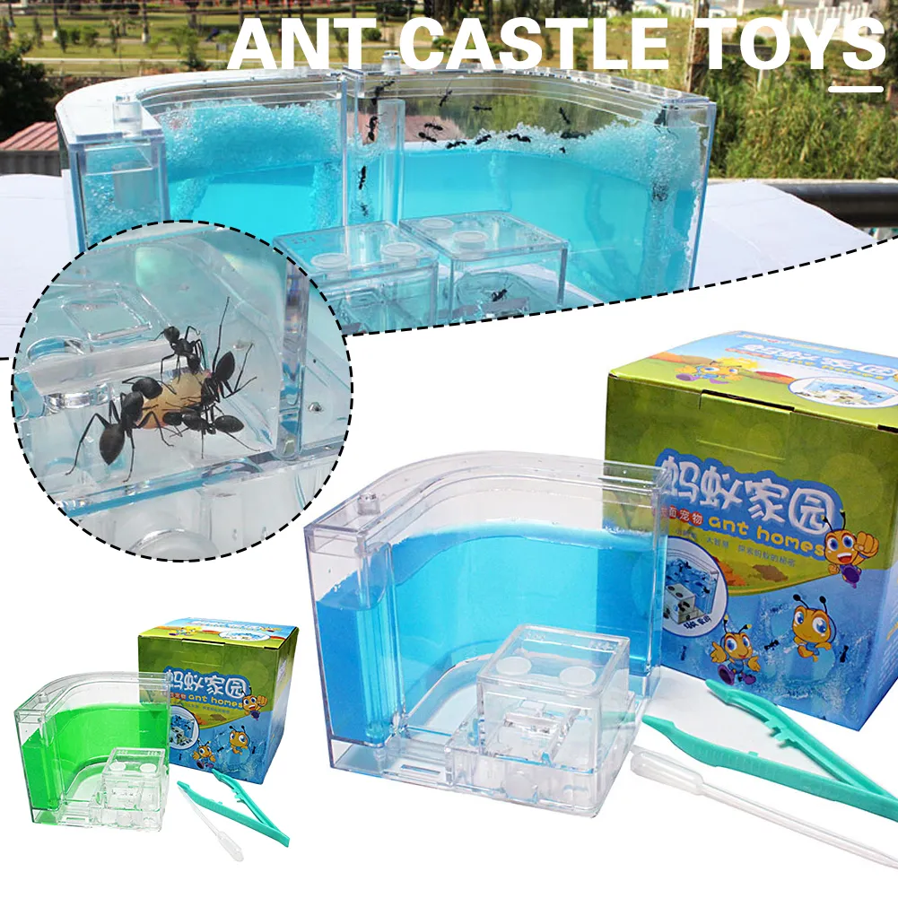 Ant Farm Habitat Transparent Ant Nest Castle For Kids | Science ...