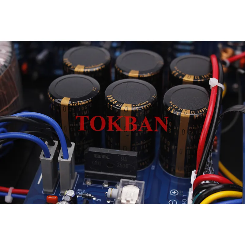 Tokban TS-6 150W+150W Stereo Class AB Power Amplifier with RCA Balanced ...