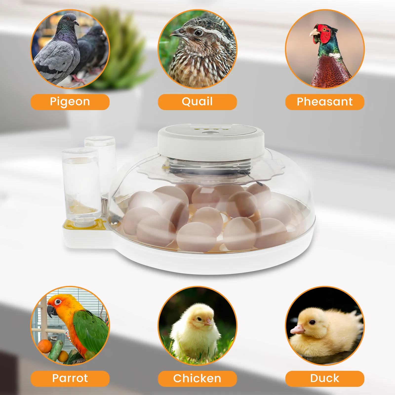 Smart Incubator For Hatching Eggs Fully Automatic Incubator With ...