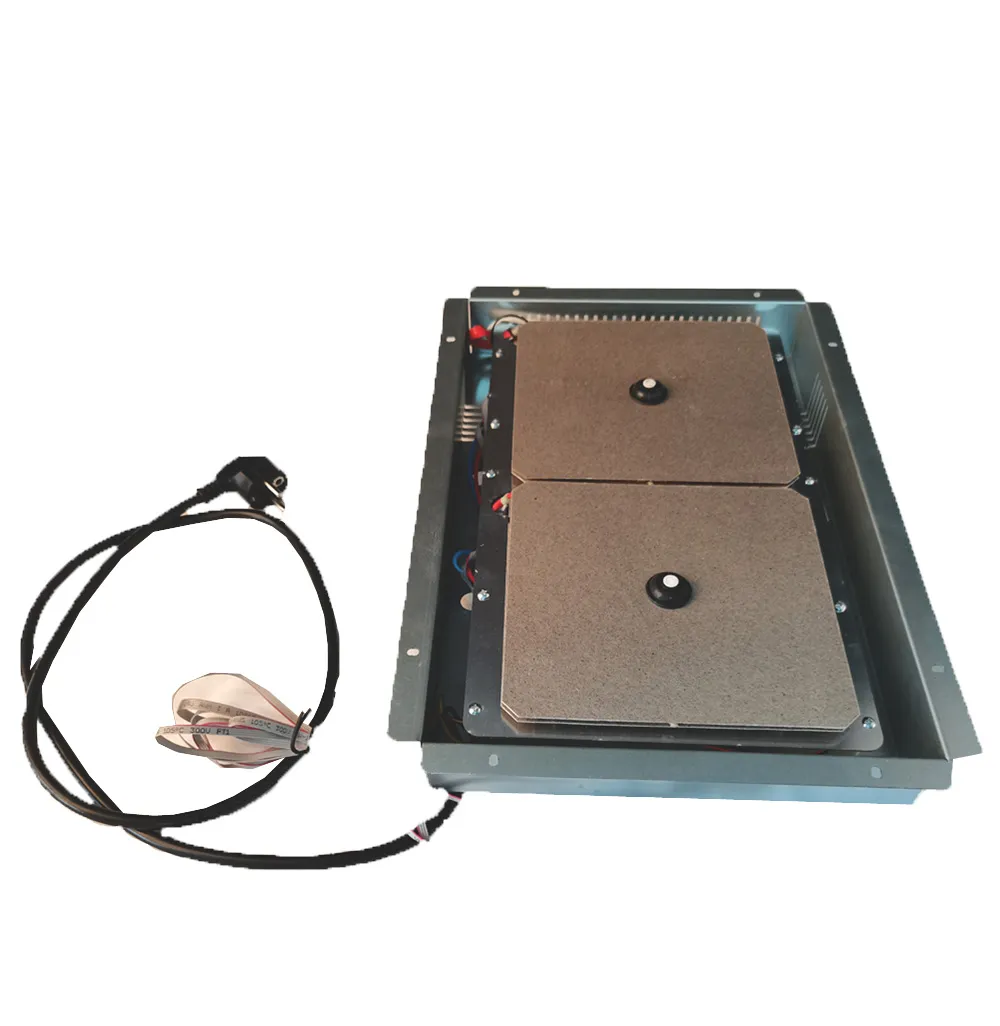 2000W Invisa Induction Stove: 2-Burner Electric Built-In Double ...