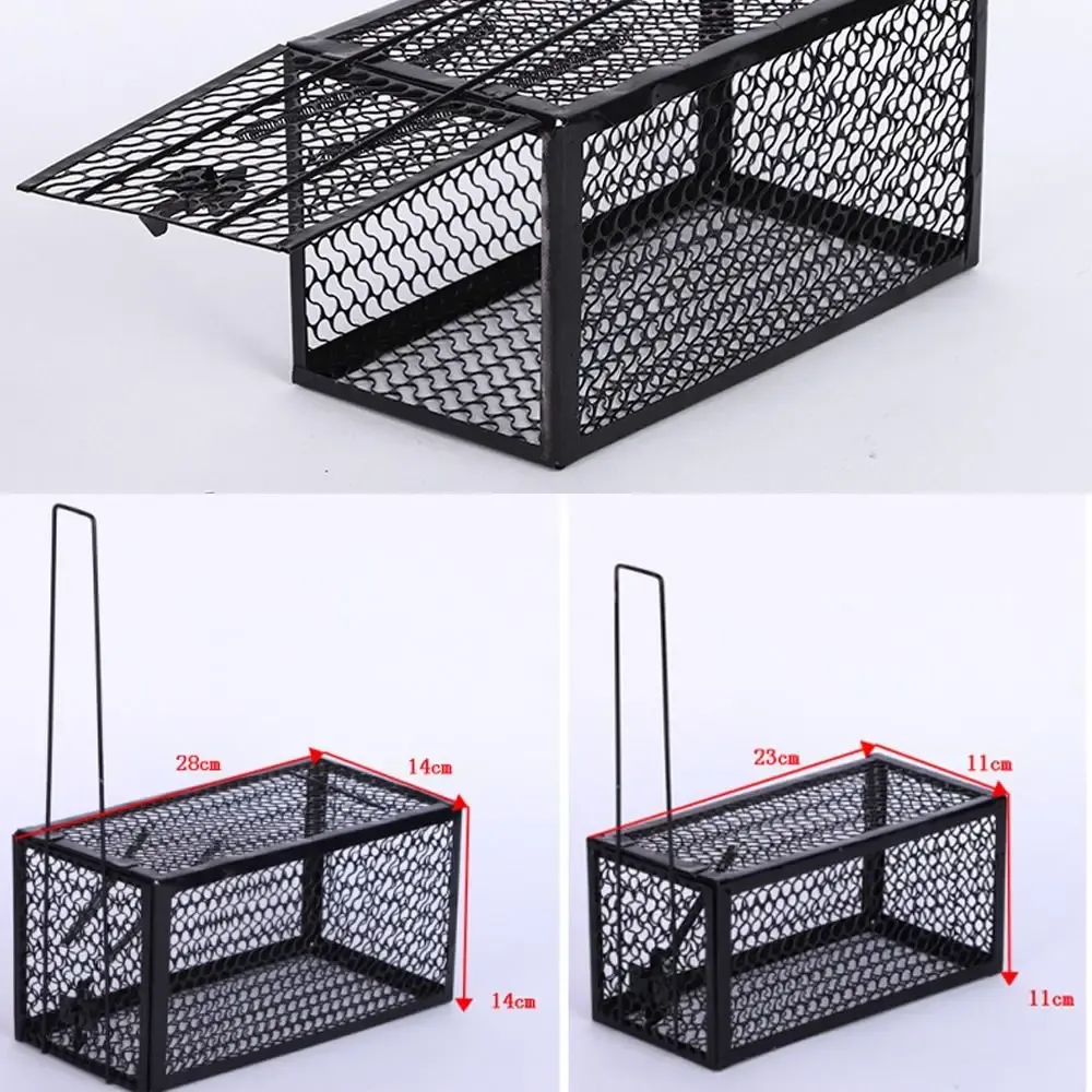 Animal Control Self Locking Chat Trap Catcher For Mouse, Rat, And Bait ...