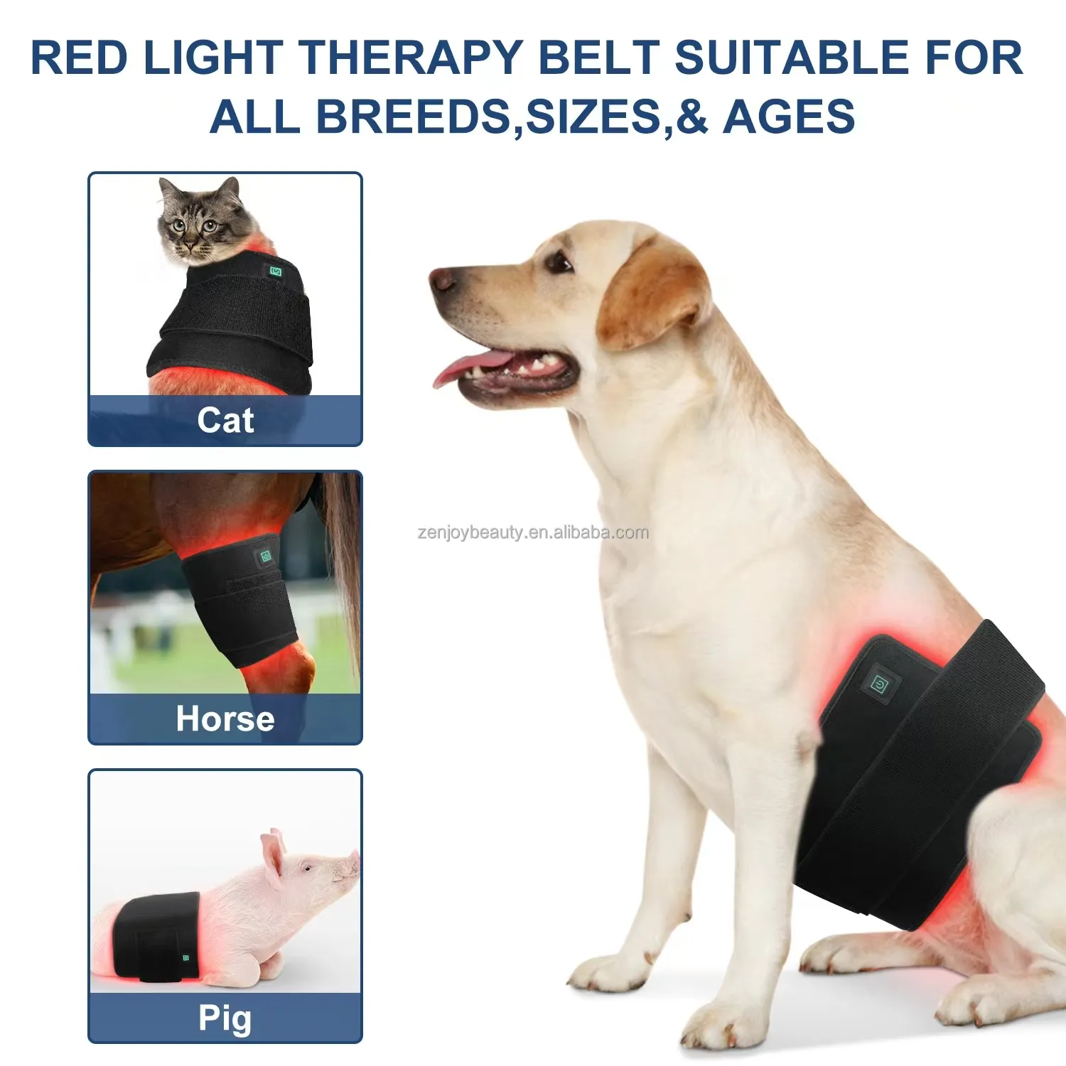 Wireless Infrared Light Therapy Blanket Mat 660nm 850nm with Built-in ...