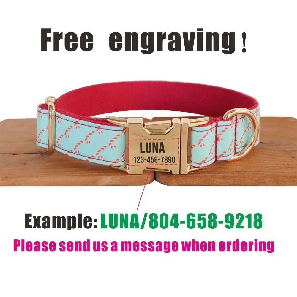 Personalized Engraved Dog Collar & Leash Set - Best Seller! Custom ID ...